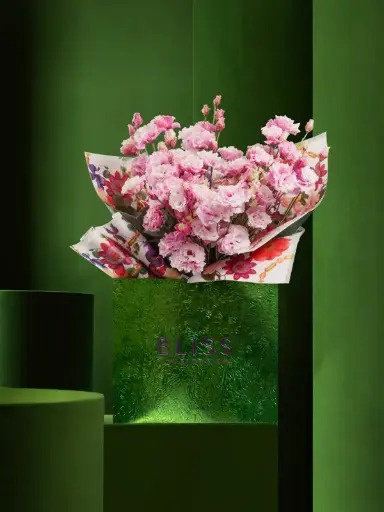 Products | Bliss UAE